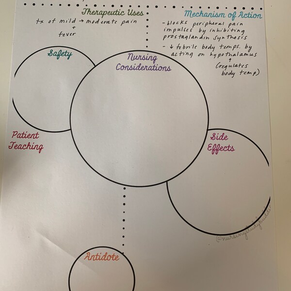 Patho and Medsurg Mind Map Guide (color) - Etsy