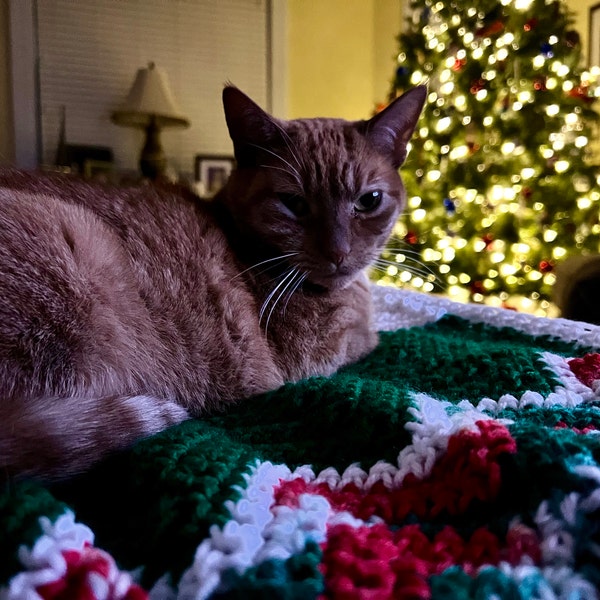 HANDMADE WARM & SNUGGLY Christmas Afghan!! - Etsy