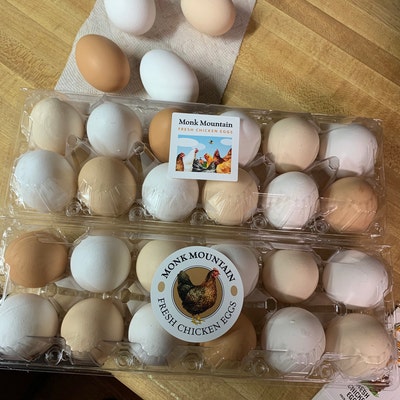 2 Square Small Chicken Egg Carton Stickers, Farm and Coop Accessories ...