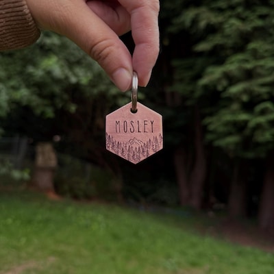 Mini Dog Tag for Dogs, the Bean, Personalized, Pet ID Tag - Etsy