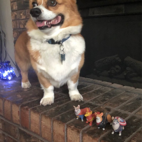 Thorgi the Corgi God of Thunder - Etsy