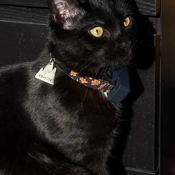 Personalized Cat Tag Id, Cat Personalized ID, Cat Tags for Cats, Cat ...