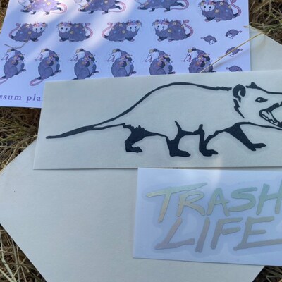 Trash Life Opossum Marsupial, Possum, Wildlife, Love, Cute, Roadkill ...