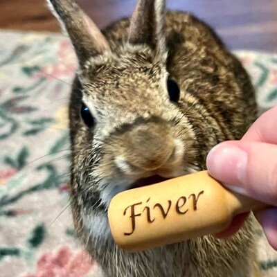 Personalized Mate algarrobo Yerba Mate Cup Bombilla Bamboo Straw Wood ...