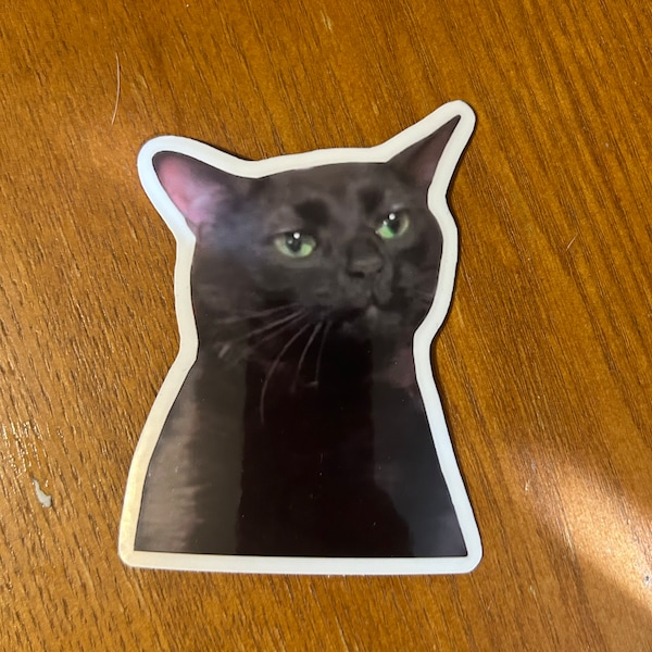 Dissociating Sticker, Zoning Out Black Cat Meme, Dissociative Sticker ...
