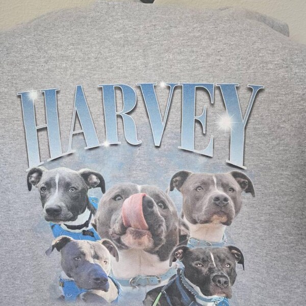 Custom Bootleg Rap Bootleg Shirt, Stitch Bootleg Tee, Vintage Graphic ...