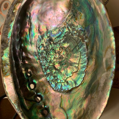 Large Abalone Shell, Colorful Abalone Shell, Natures Painting in a ...