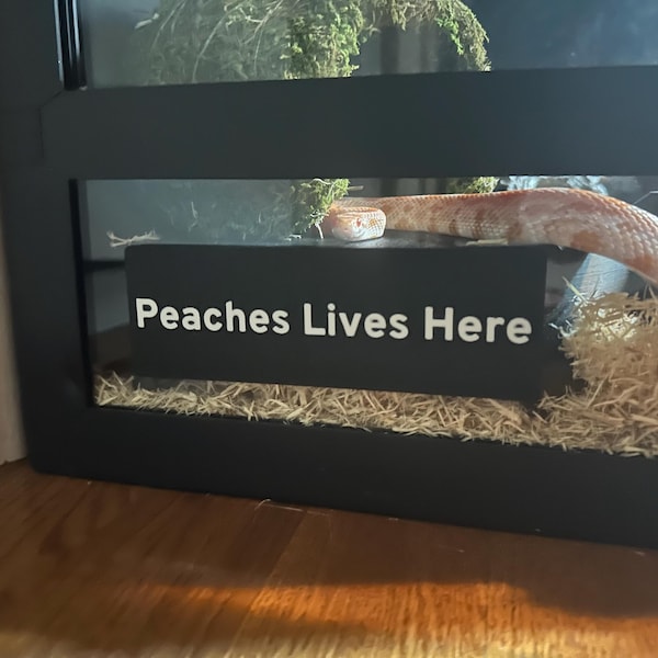 XL Hoggy Hide. Burrow Hide. Snake Hide for Western Hognose, Colubrids ...