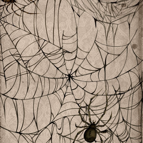 Watercolor Realistic Spiderweb Clipart Silhouette Spooky Spider ...