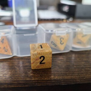 Coral Fossil Gemstone Polyhedral Dice Set: Hand Carved With Quality ...