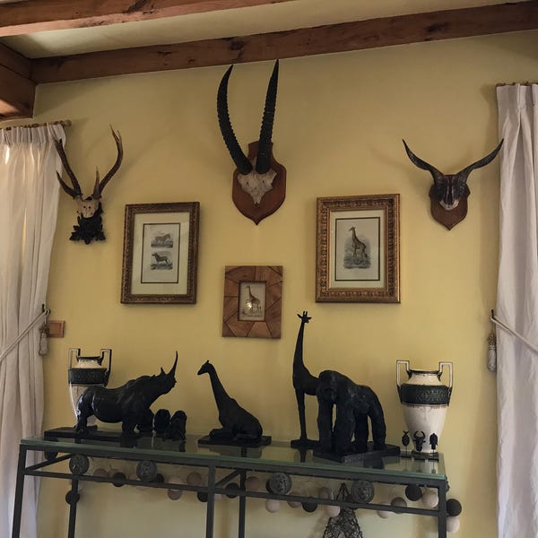 Human Body Part, Rear View / Head and Neck / Human Anatomy ...