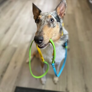 Biothane Tab or Bringsel Pick Your Color 1/2 Wide Heavy Weight, 8 Long ...