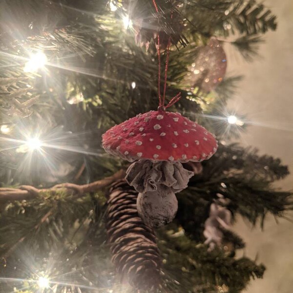 Tiny Boy Mushroom, Human Shaped Toadstool Ornament, Mythical Creature ...