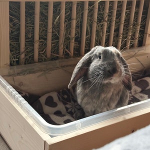 Rabbit Dig Box Indoor Use Only - Etsy