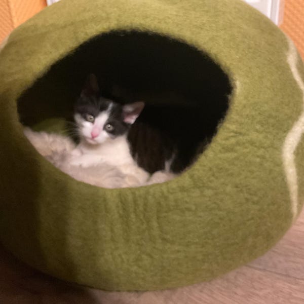 50cm Wool Felt Stripe Design Cat Bed, Handmade Wool Pet Bed, Round ...