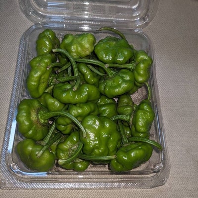 Aji Cachucha, Cachucha Pepper, Sweet Pepper, Sweet Aji. Pintón Brand ...