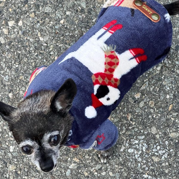 Thick Brown-orange Pullover Designed for Pets, Warm Fleece Pullover ...