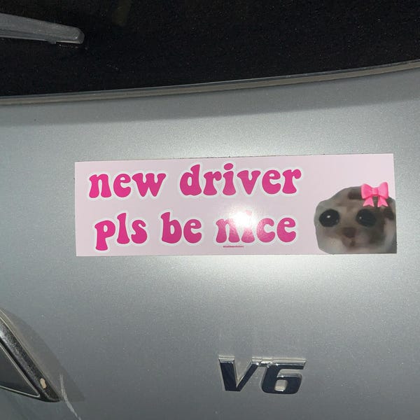 New Driver Pls Be Nice | Bumper Sticker AND Magnet | Funny Meme Sticker ...