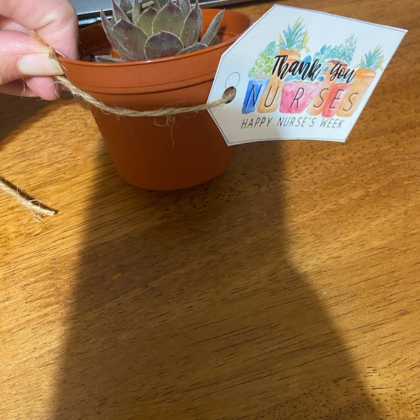 PRINTABLE God's Words Sweeter Than Honey PNG, VBS Gift Tag, Sunday ...