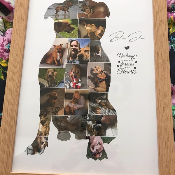 Staffordshire Bull Terrier Photo Collage Print: Personalized Pet ...