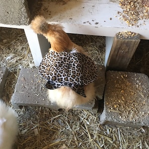 Sunrise Chicken Tutu - Etsy