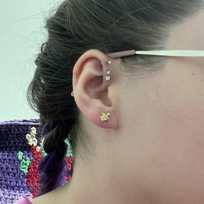 Tiny Snake on Leaves Daith Piercing Septum Ring Piercing Sterling ...