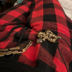 Ball Python Snake Pendant/sculpture for Necklace/key Ring, Perfect for ...