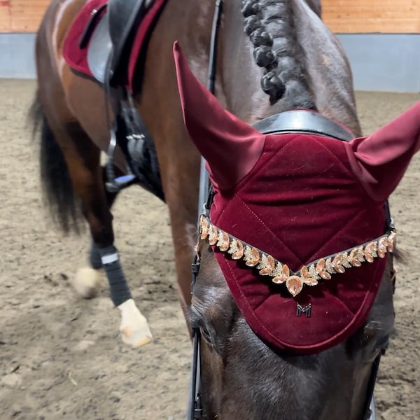 Anatomical Working Hunter Leather Bridle Cavesson Padded Cutaway ...