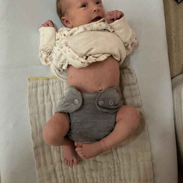 Mamabear Quick Dry ONE SIZE Fitted Diaper Organic Cotton or Organic ...