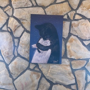 Orion Cats by Raphaël - Etsy