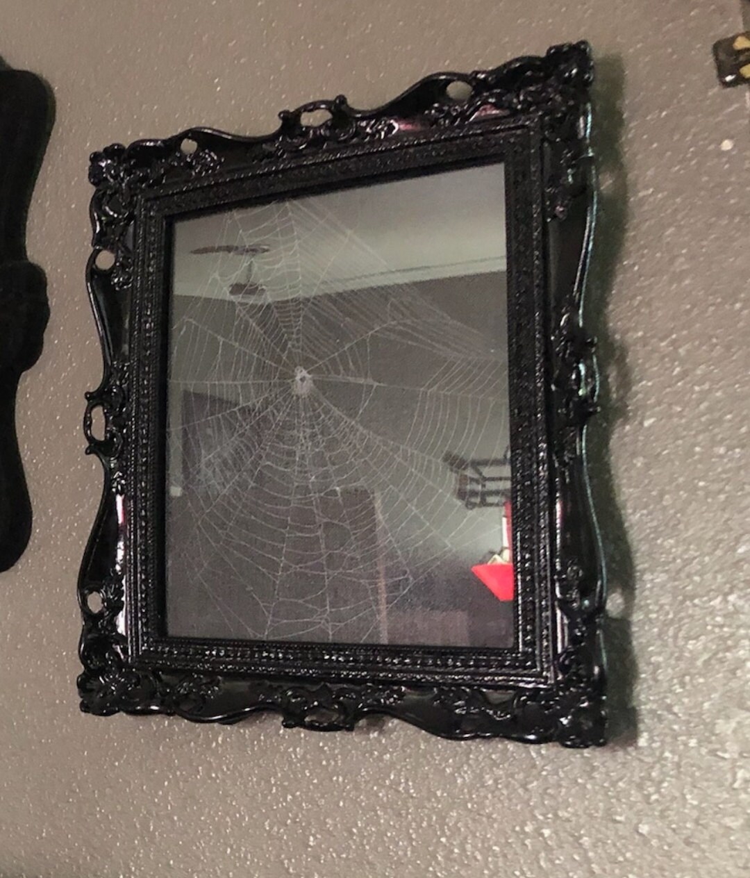 Real Spider Web, Preserved Spider Web, Framed Spider Web, Spider Web ...