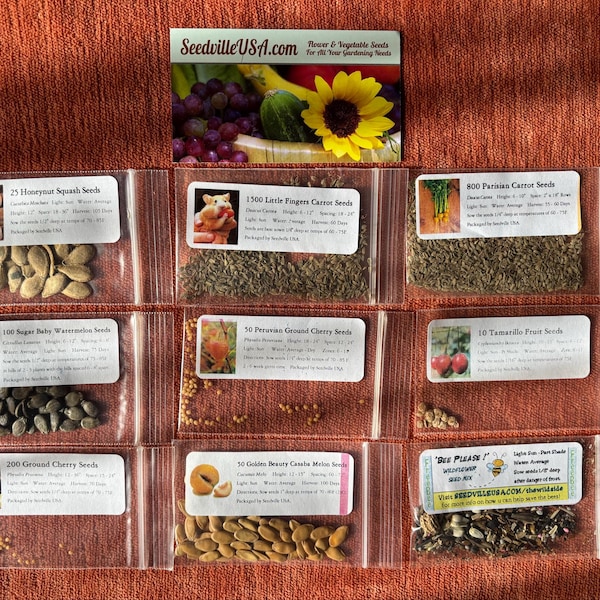 50 PERUVIAN GROUND CHERRY Physalis Peruviana Cape Gooseberry Fruit ...