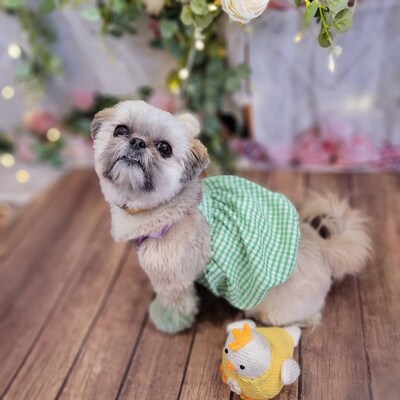 Point Knit Cardigan Dog Sweater Cardigan Shirt Top Dog Clothes Dog ...