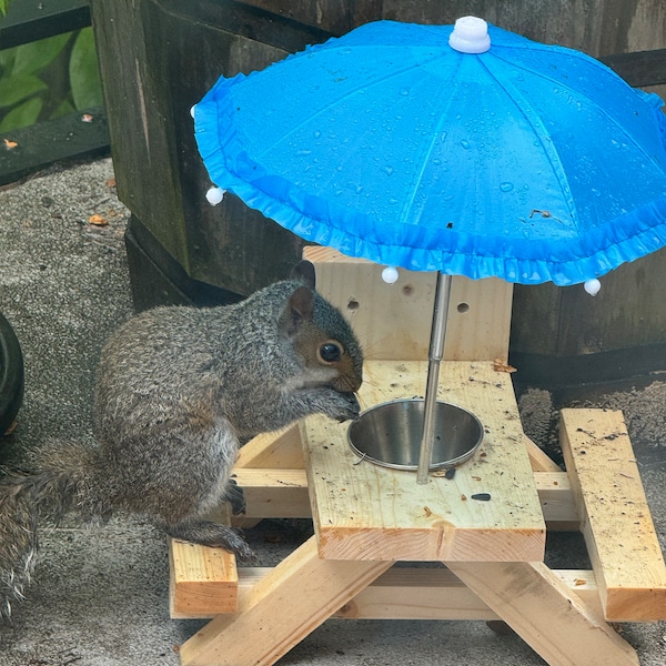 Squirrel Table Umbrella, Squirrel Feeder, Picnic Table Squirrel, Fence Feeder Squirrel, Fence ...