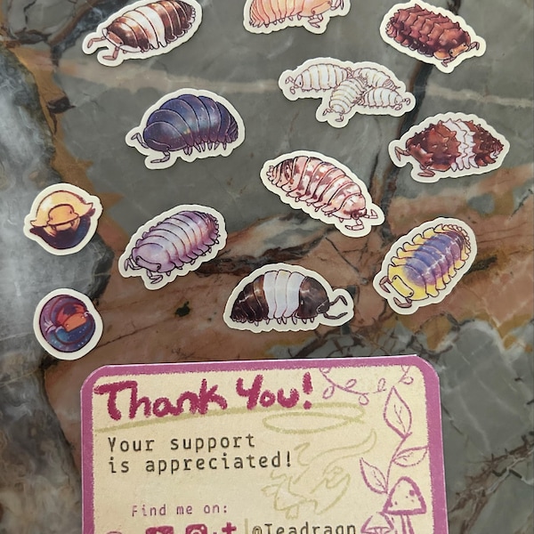 Isopods Vinyl Stickers - 10 Species Variants, Roly Poly, Pill Bug ...