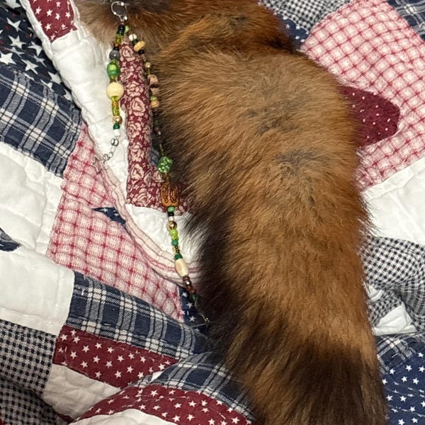 Theta Delta Wolf Coyote Therian Sticker Vinyl 3 Inch - Etsy