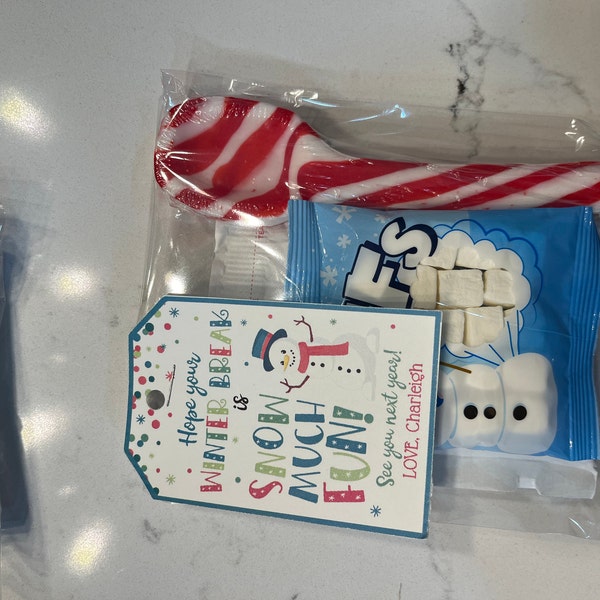 Hope Your Winter Break is Snow Much Fun Tag From Teacher Holiday Gift ...