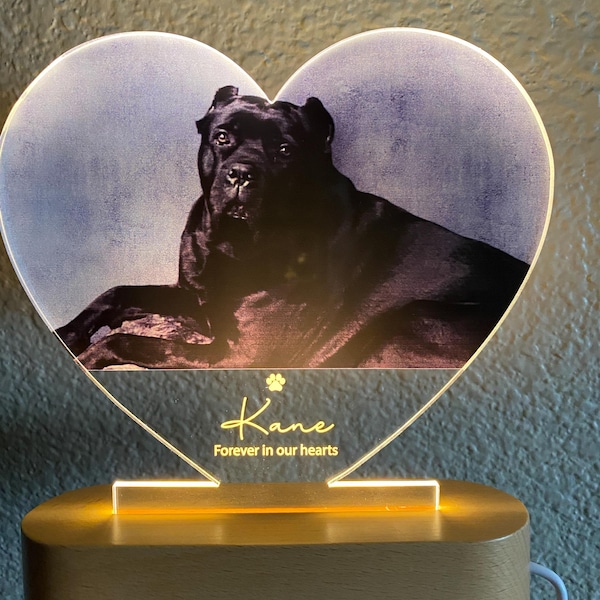 Photo Engraving Custom 3D Acrylic Night Light Personalized Bedroom LED ...