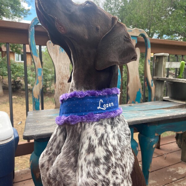 Custom Ribbon Display, Dog Award Ribbon Display Rack, Dog Rosette ...