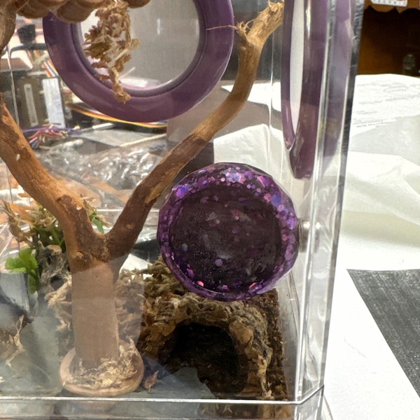 Pink Jumping Spider Enclosure Decor Set Basics Collection Jumping ...
