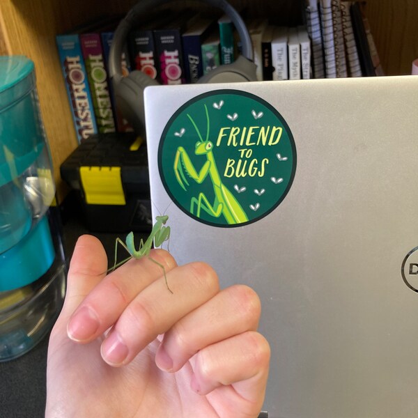 Friend to Bugs Sticker - Etsy