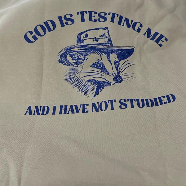 God is Testing Me Funny Unisex Sweatshirt, Possum Shirt, Meme Shirt ...