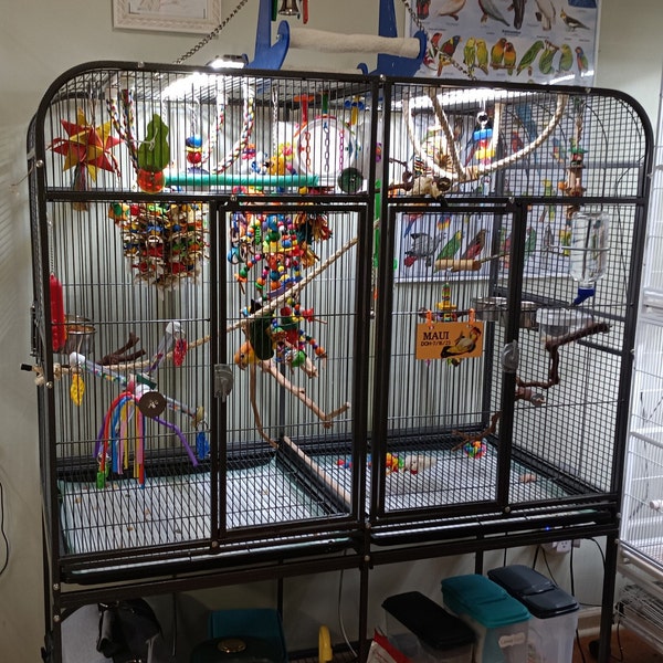 PARROT PALM TREE Toy - Etsy