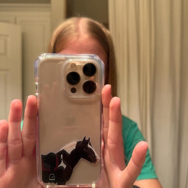 Custom Horse Portrait Phone Clear Case Cartoon Gift for Horse Lover ...