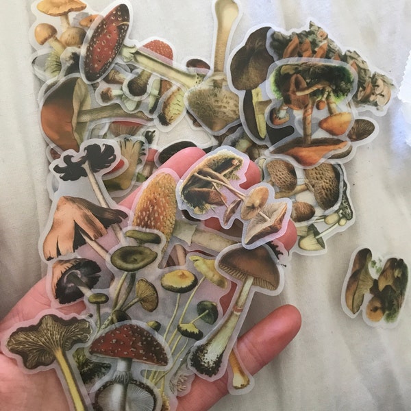 Mushroom Stickers - Set of 30 - Nature Stickers, Junk Journal Paper ...