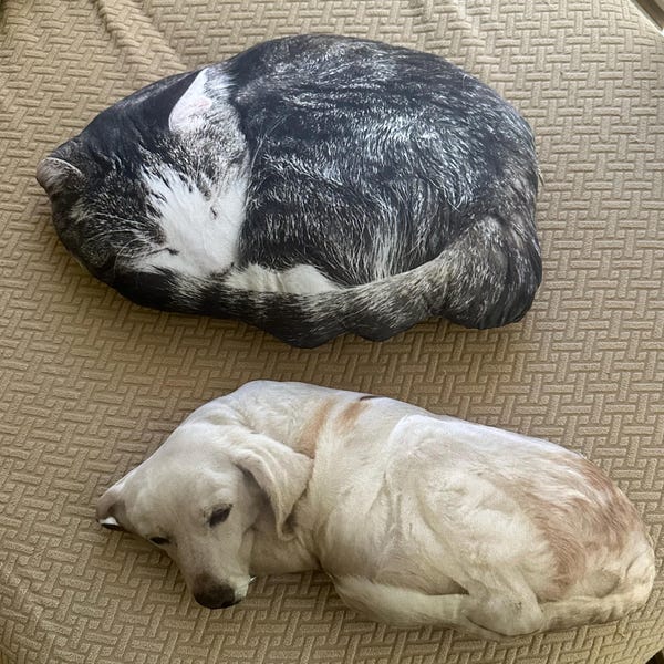 Moo Deng | Moo Deng Keychain | Moo Deng | Hippo Car Accessories | Moo ...