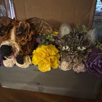 FLOWER DOG] Custom Dog Bouquet] Puppy Flower] Flower Dog Custom Order ...