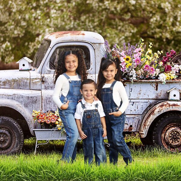 Spring Vintage Pickup Truck With Spring Blooms, Vintage Pickup Truck ...