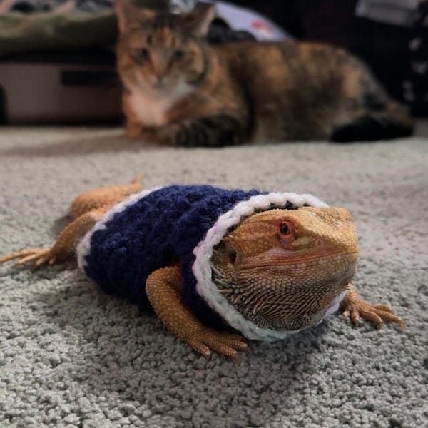 Bearded Dragon Wraparound Sweater Crochet Pattern - Etsy