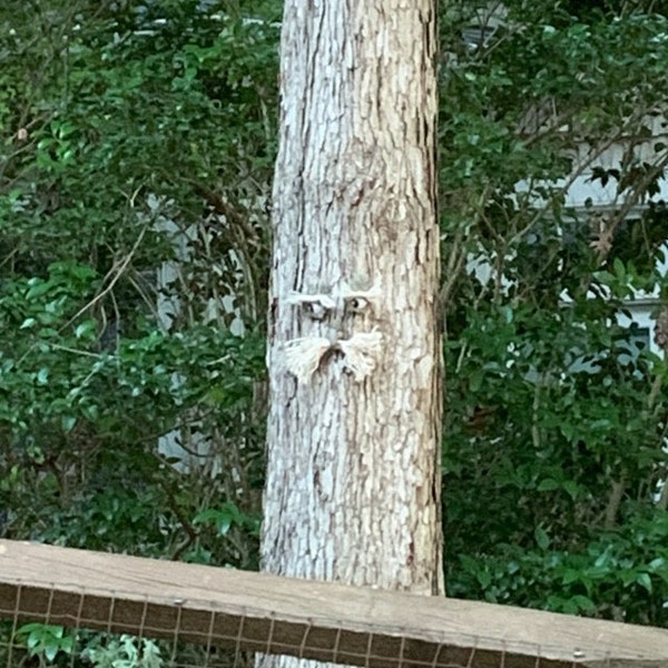 Moustached Tree Face Outdoor Garden Decoration, Sculpture, Statue ...